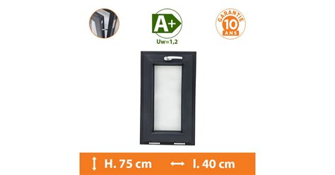 Fenêtre Pvc Gris Chassis Abattant 75x40 Direct Fenêtres