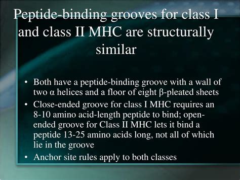 Ppt Structure Of Class Ii Mhc Continued Powerpoint Presentation