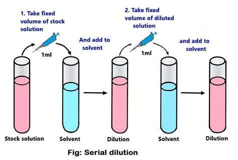 Serial Dilutions Calculations At Bruce Schmidt Blog