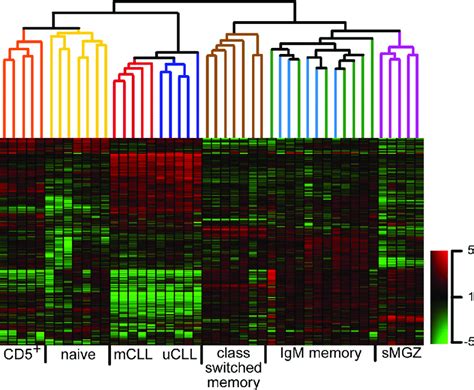 Hierarchical Clustering Of Normal Human B Cell Subsets And Cll The
