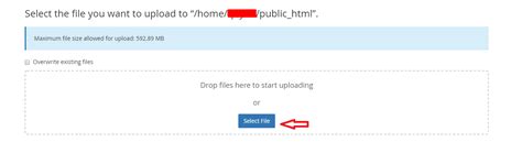 hướng dẫn upload source code cho website trên server control whm cloud365