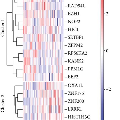 Methylation Marker Enriched Biological Functions And Signal Pathways Download Scientific