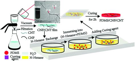 Preparation Route Of Polydimethylsiloxanecellulose Nanofibercarbon