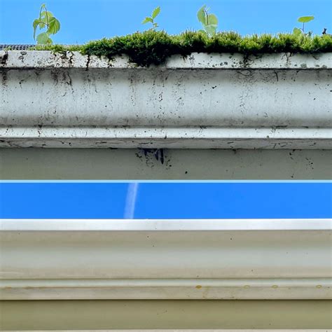 Gutter Cleaning Desoto County Ms Get A Free Quote Today