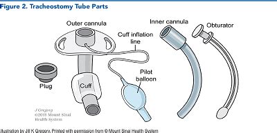 Emergency Department Management Of Surgical Airway Complications