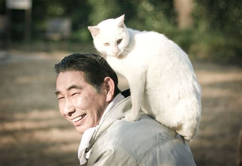 5 Reasons Why Your Cat Sits On Your Shoulder The Surprising Fvvlbu
