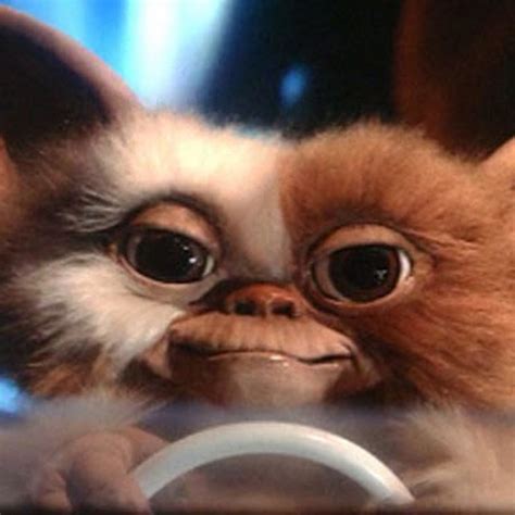 Gregor Simonic Youtube