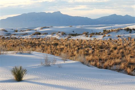 White Sands National Park Roadside Secrets