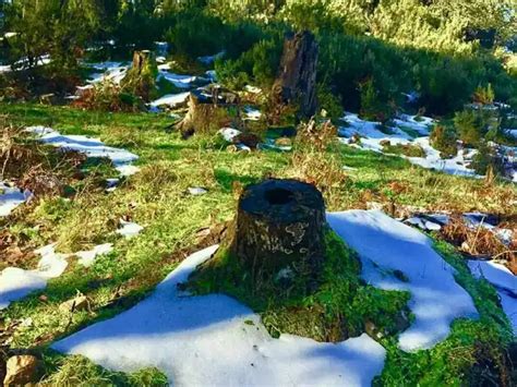 Ain Draham City عين دراهم Tunisia Travel Guide