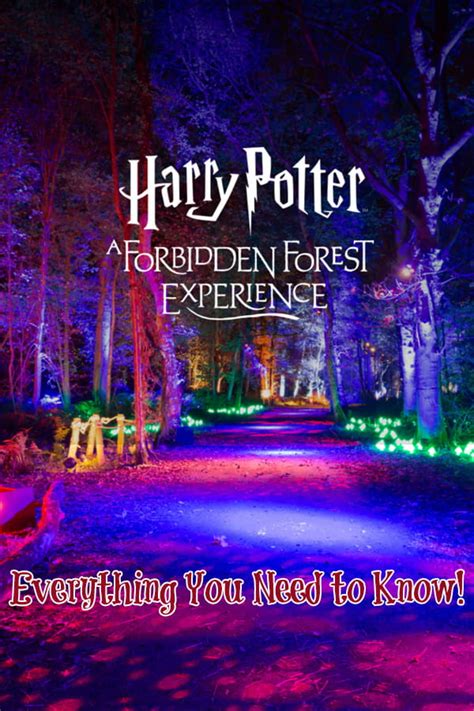 How Big Is The Forbidden Forest In Harry Potter