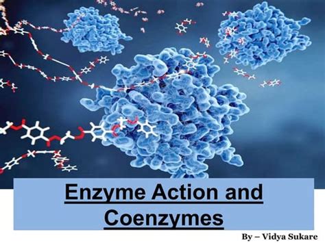 Enzyme Substrate Complexpptx Divyanshu Alawe Ppt