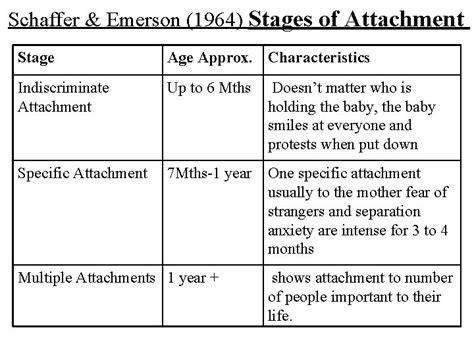 Caregiverinfant Interactions In Humans Reciprocity And Interactional Synchrony