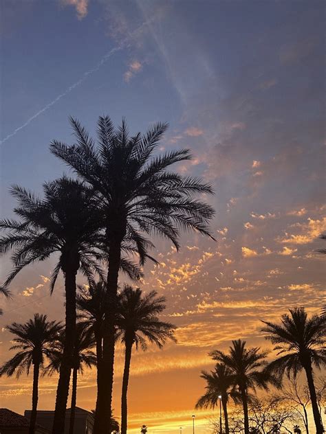 Gallery Abby Cramer Vsco