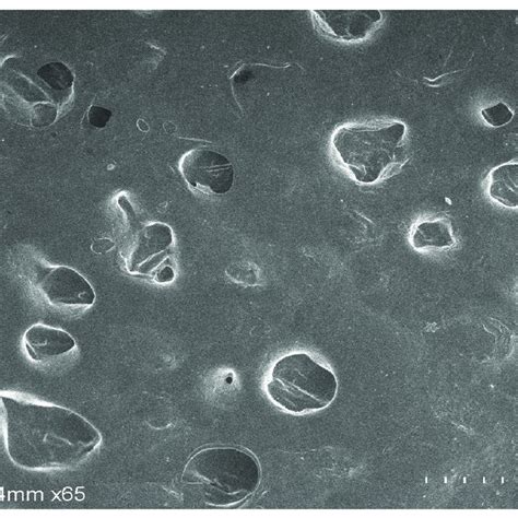 Stability Studies Of P Granatum Ethosome Gel Download Scientific