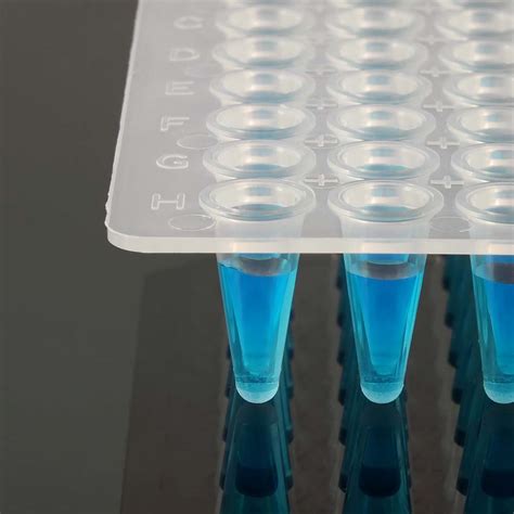 Amplify Non Skirted Well PCR Plates PCR Plates PCR Consumables Consumables Laboratory