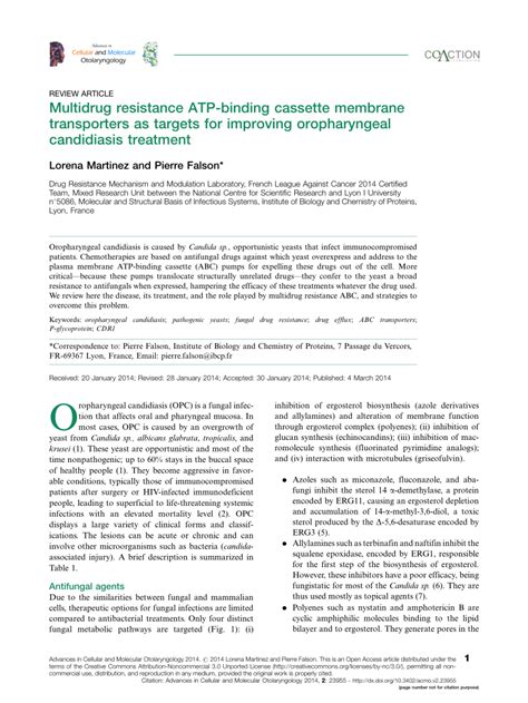 Pdf Multidrug Resistance Atp Binding Cassette Membrane Transporters