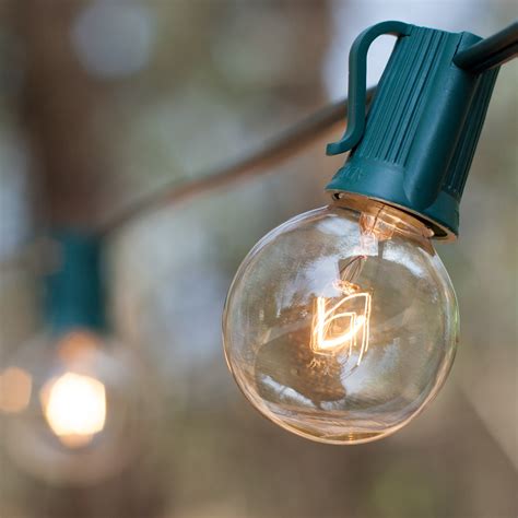 Globe String Lights Clear G40 Bulbs Green Wire Yard Envy