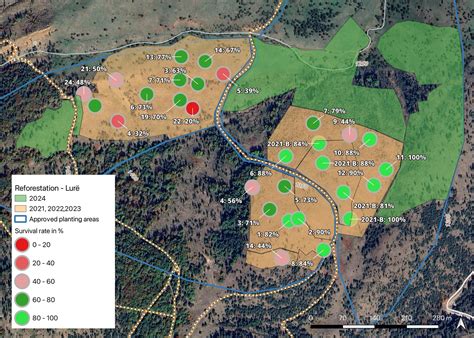 Trees For LurË Reforestation
