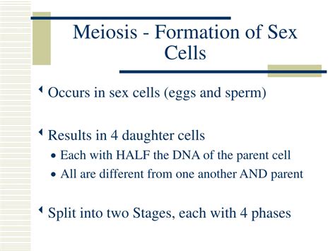 Ppt Cell Division Powerpoint Presentation Free Download Id9093557