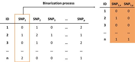 Impact Of Multi‐output And Stacking Methods On Feed Efficiency