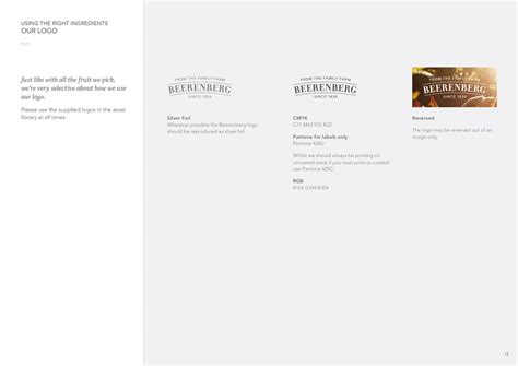 From Chaos To Cohesion Embracing Brand Guidelines For Business Growth Tiny Hunter