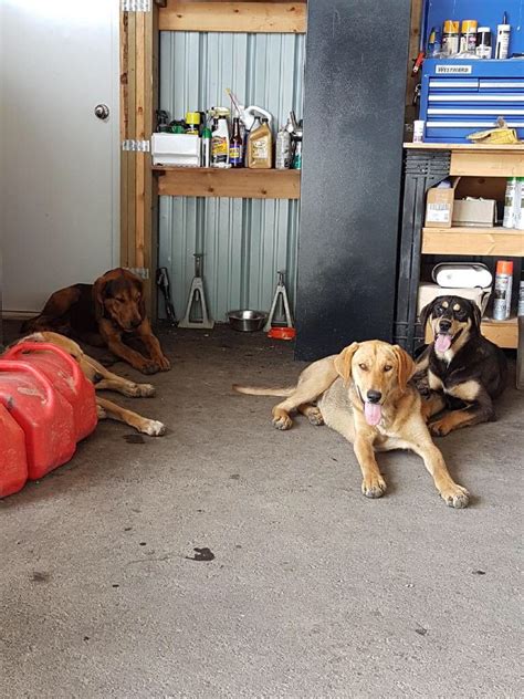 Heidi Sauer Heidijsauer Twitter