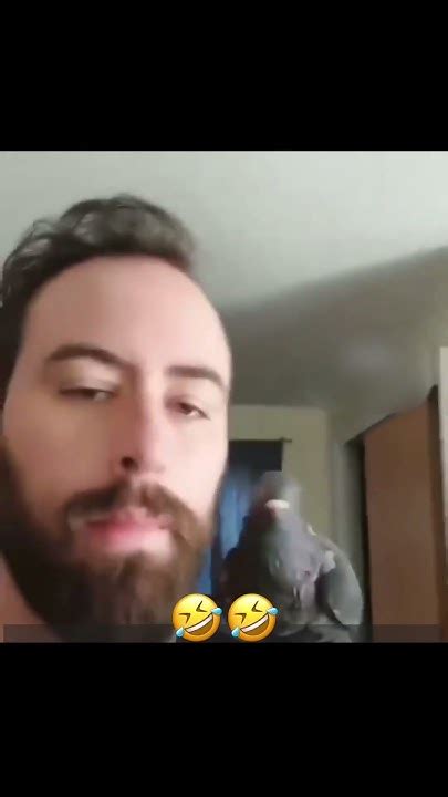 5 تا از بهترین پرنده ها🕊 Youtube