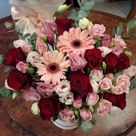 Aloha Nevas Personal Vlogs Youtube