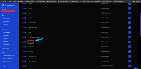 Cara Menginstall Dan Memasang Plugin GeyserMC Pusat Pengetahuan Skyes Hosting