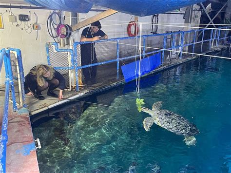 Such A Fulfilling Job Kieran Satchell