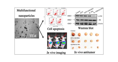 Multifunctional Nanoparticles Loading With Docetaxel And Gdc0941 For Reversing Multidrug