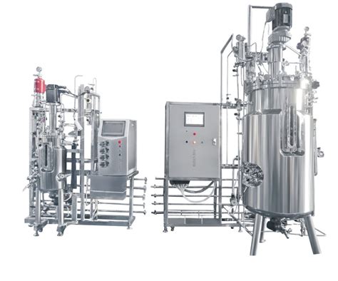 Pilot Scale Stainless Steel Fermentation Reactor Bioreactor With Sip Fermenter And Bacteria