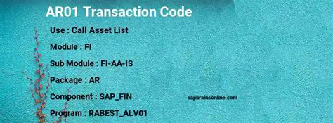AR SAP Tcode For Call Asset List