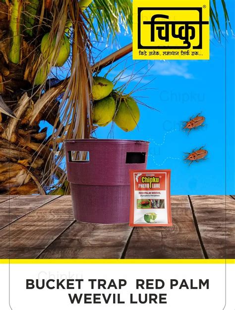 Pheromone Bucket Trap With Red Palm Weevil Lure Rhynophorus