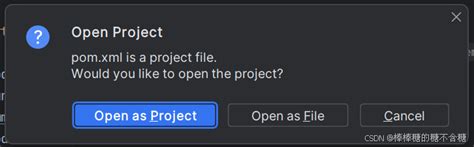 Springboot 在 Idea中的 Idea和 Iml文件 Csdn博客