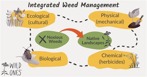 Ecological Control Of Invasive Plant Species Wild Ones Native Plants Natural Landscapes