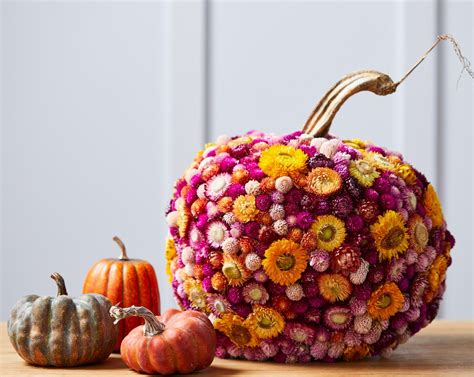 Pumpkin Flower