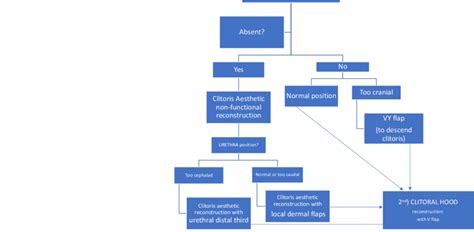 Basic Algorithm About Clitoris Preoperative Analysis Download