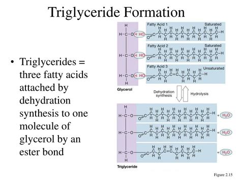 Ppt Types Of Organic Compounds Powerpoint Presentation Free Download Id 465419