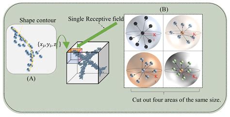 Partition Based Point Cloud Completion Network With Density Refinement