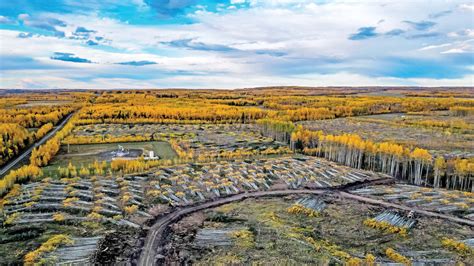 Sure And Safe Logging Approach Forestnet