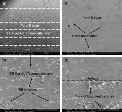 Microstructure Of The Laminated Ti 15vol Tib La2o3 Ti Composite