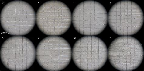 Lattice Test Of Geopolymer Suspensions G N Download Scientific Diagram