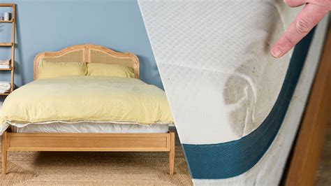 Mattress On The Floor — How To Avoid Mold Growing On Your Bed Toms Guide