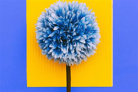 Creative Art Projects