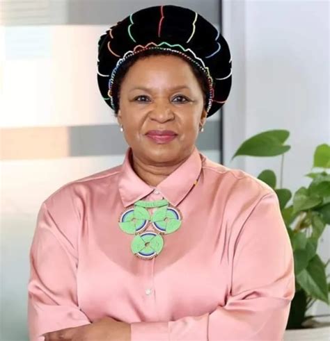 رئيسة مجلس أعمال بريكس انضمام مصر فرصة لتحقيق حلم القاهرة كيب تاون القاهرة الاخبارية