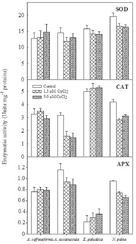 Effects Of Cu On The Activity Of The Antioxidant Enzymes Of Diatoms