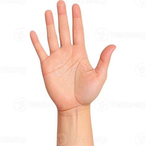 Flat Hand Png