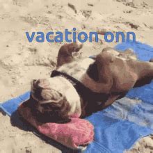Enjoy Vacation S Tenor