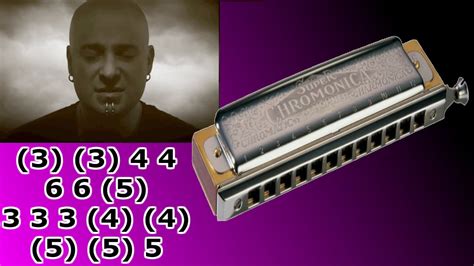 Harmonica Tabs Taps At Mason Duckworth Blog